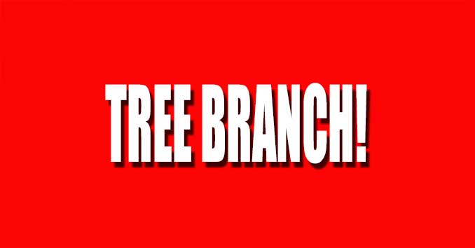 Weather Channel’s Jim Cantore Hit in the Leg by Tree Branch in Punta ...