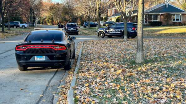 Rolling Meadows Attacker Arrested in Scarsdale Shortly After Violent ...