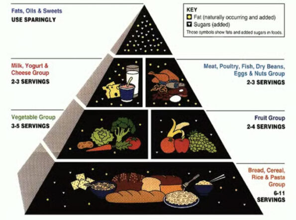 HHS, USDA Introduce New Food Pyramid with Reset of U.S. Nutrition ...